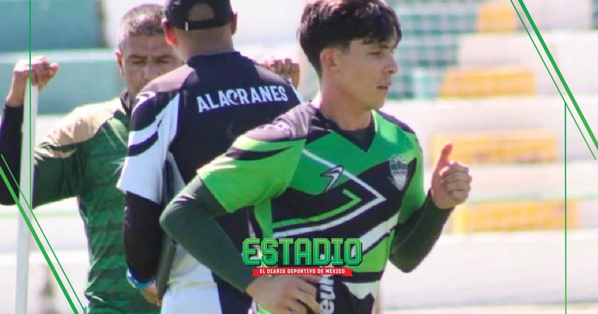 Alacranes de Durango jugará en la Liga de Expansión MX 2026-2027 tras ...